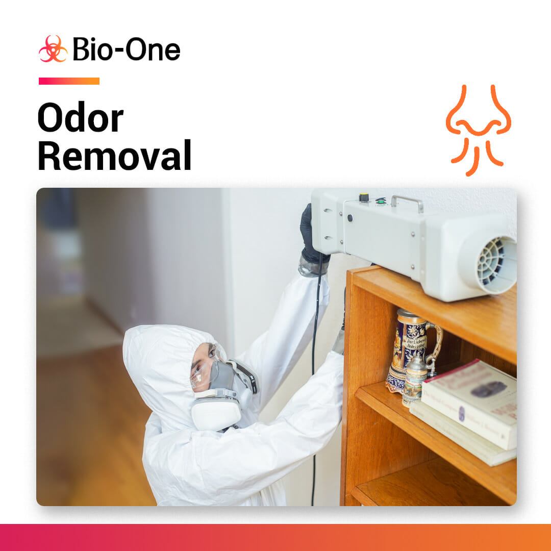 How To Remove Foul Odors From Your Apartment - Bio-One of Huntsville
